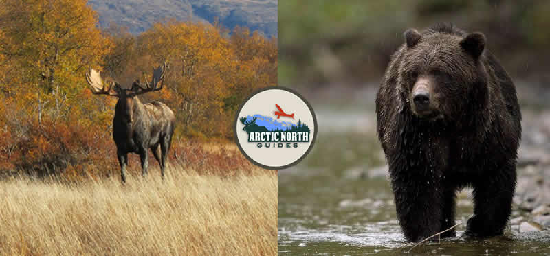 Alaska Hunting Outfitters