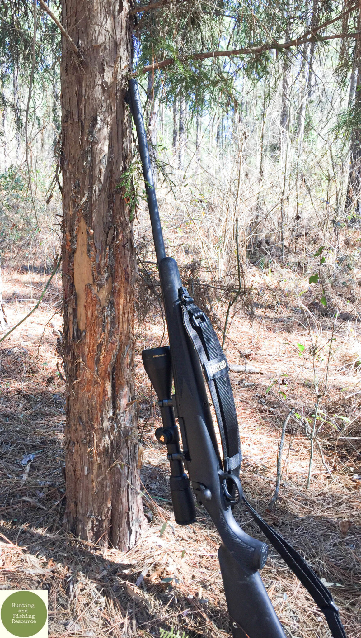How to Choose the Best Hunting Rifle for Deer Season