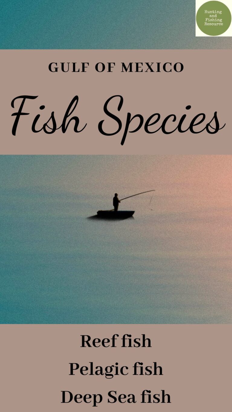 Gulf of Mexico Fish Species: A Guide to Fishing in the Gulf