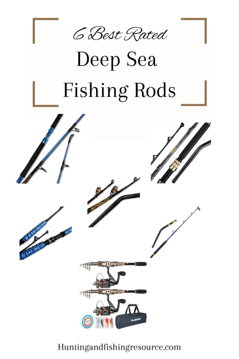 Gulf of Mexico Fish Species: A Guide to Fishing in the Gulf