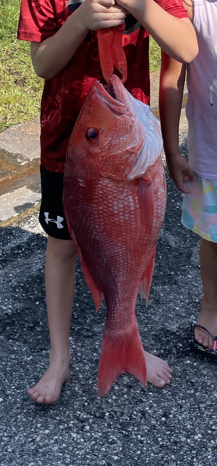 Gulf of Mexico Fish Species: A Guide to Fishing in the Gulf